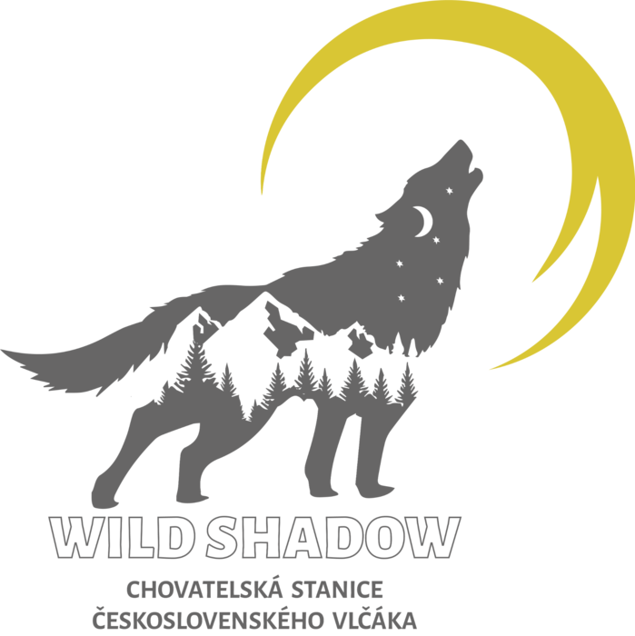 Wild Shadow chovatelská stanice